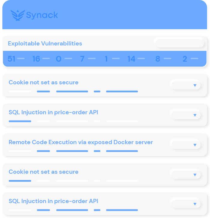 Synack Premier Security Testing Platform